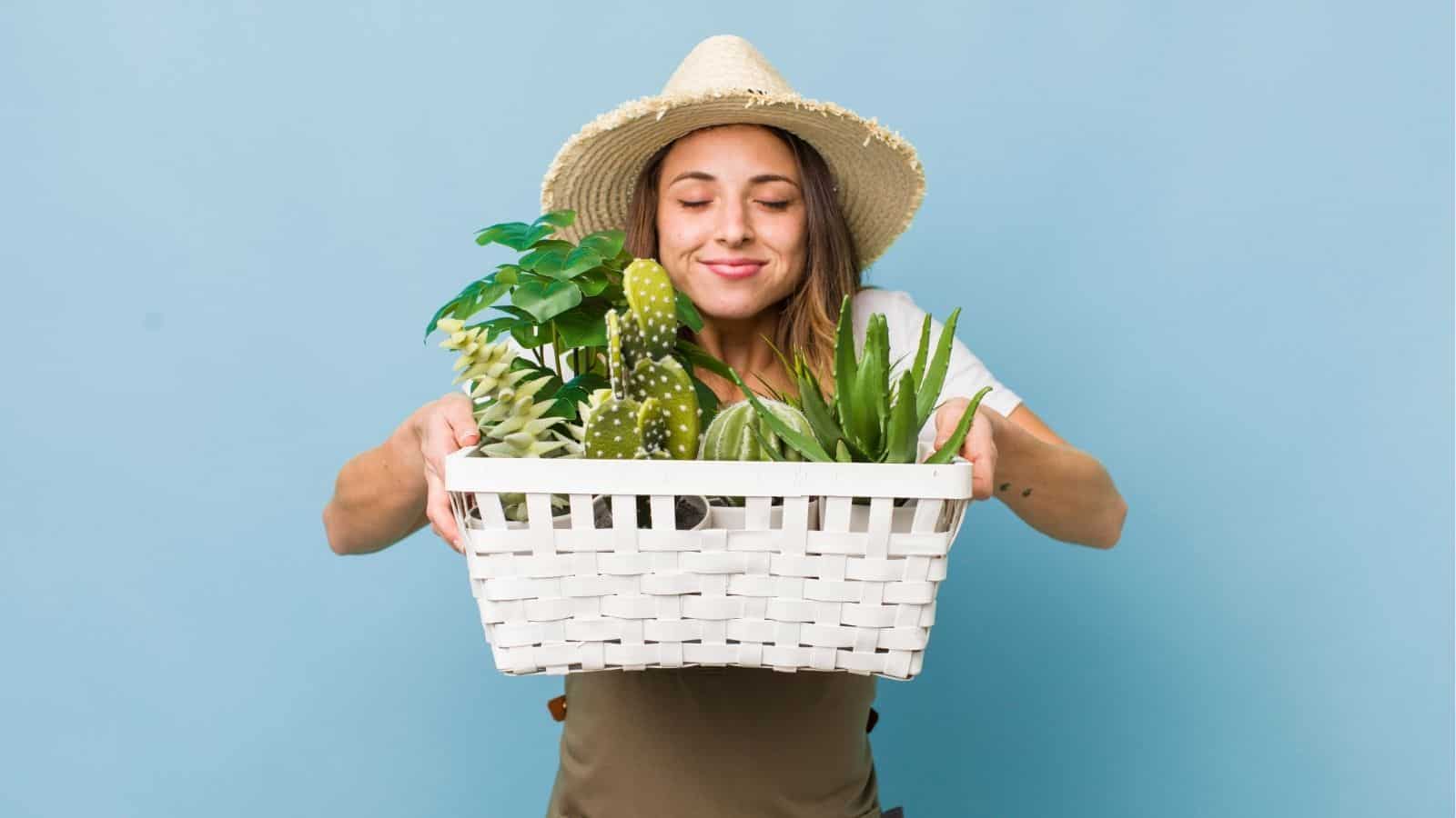 14 Gorgeous Plants That Thrive Without Much Water