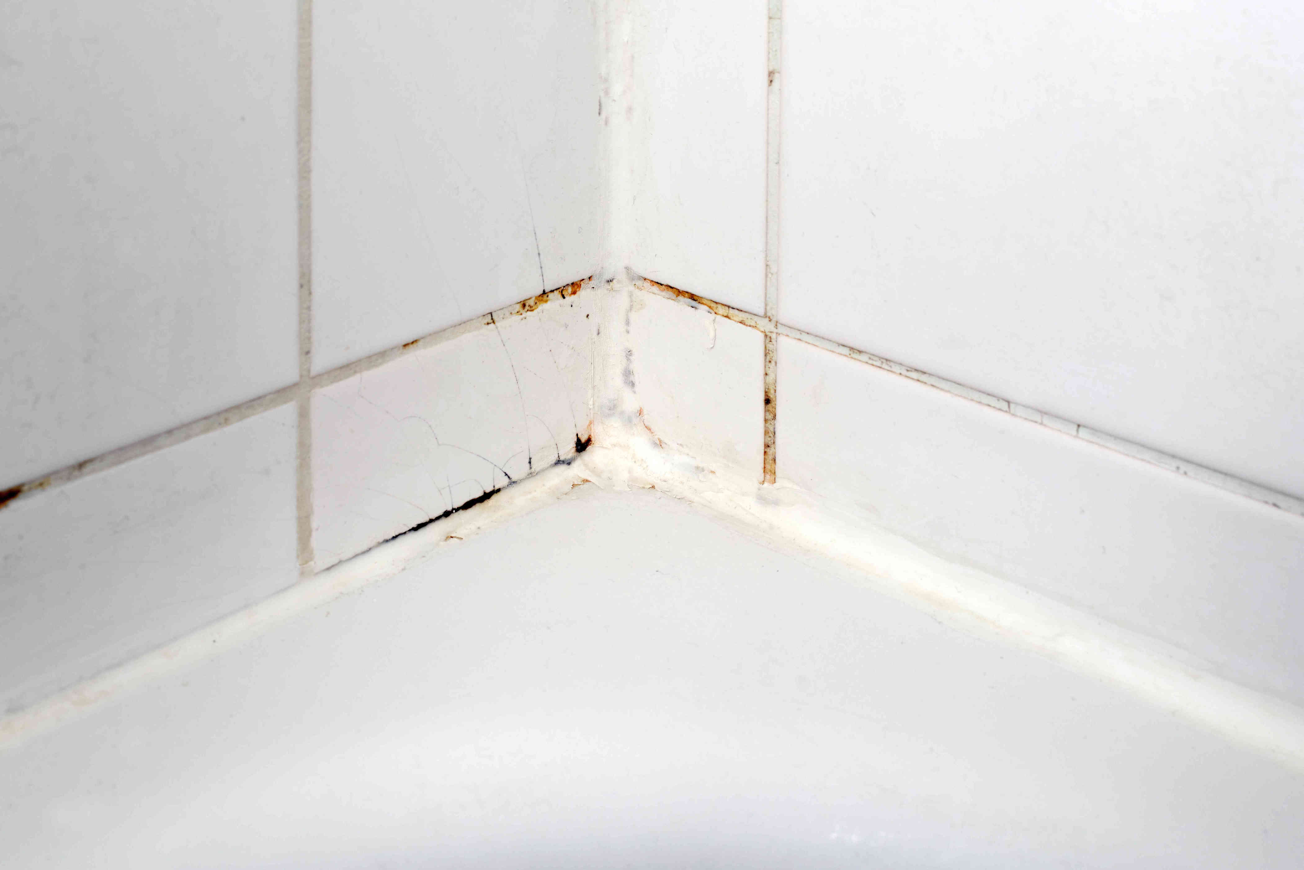How to remove mold from a shower and keep it from coming back