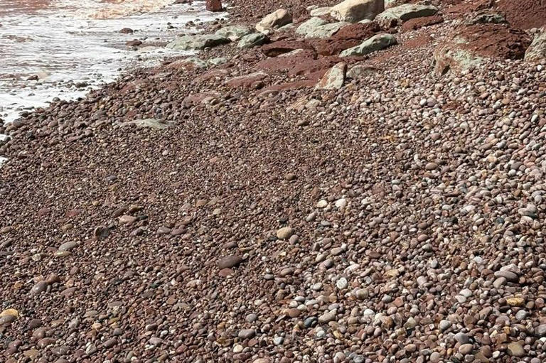 Walker falls 60ft down cliff after landslide near Seaton