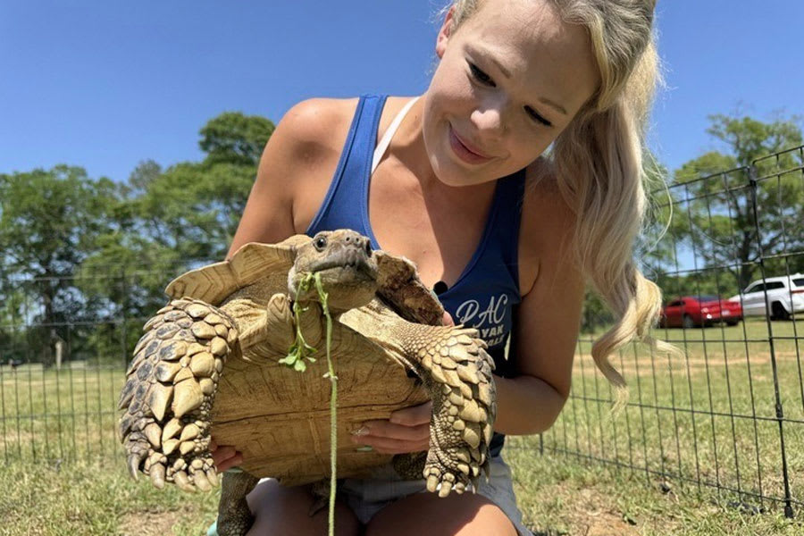 A beloved pet tortoise is reunited with its family weeks after disappearing in a Mississippi tornado
