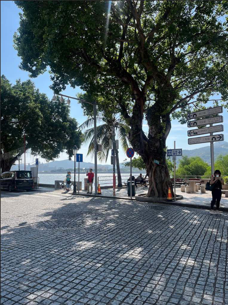 Traveling without an itinerary? There's magic in just going with the flow