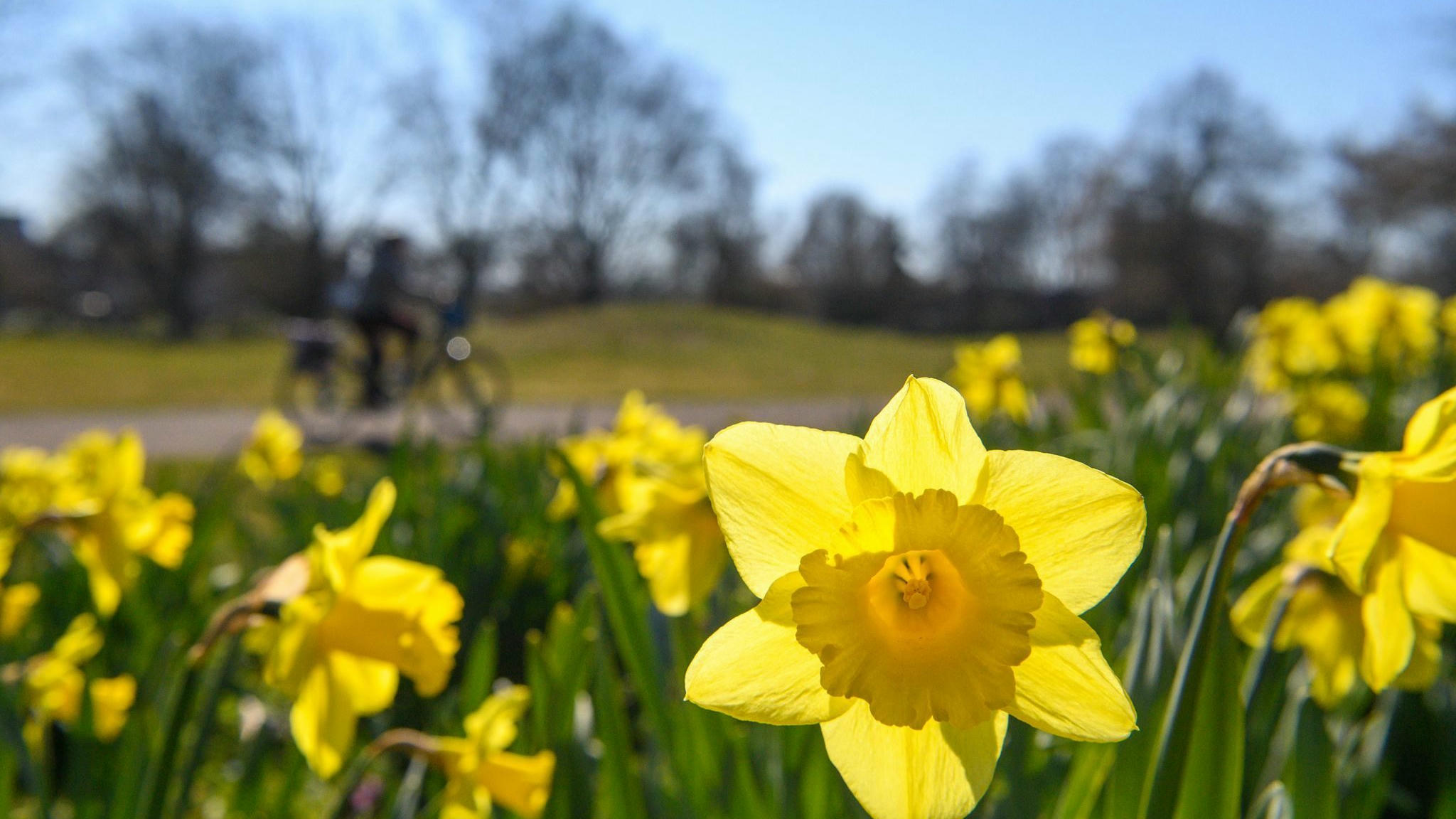 Horoskop heute: Liebeshoroskop für den 4.5.2025