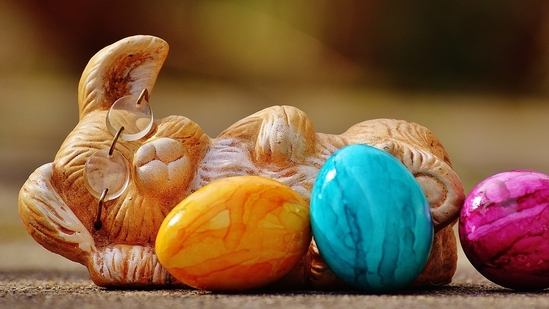 Going down the rabbit hole: Where did the Easter Bunny originate and ...