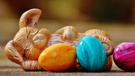 Going down the rabbit hole: Where did the Easter Bunny originate and ...
