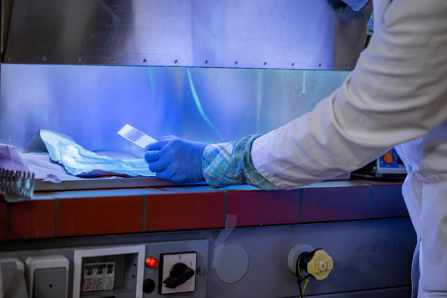 Pioneering teenagers win acclaim for invention that could change the ...