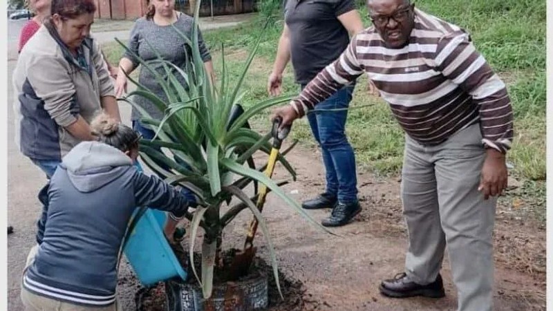 Councillor stages protest by planting trees to highlight pothole crisis ...