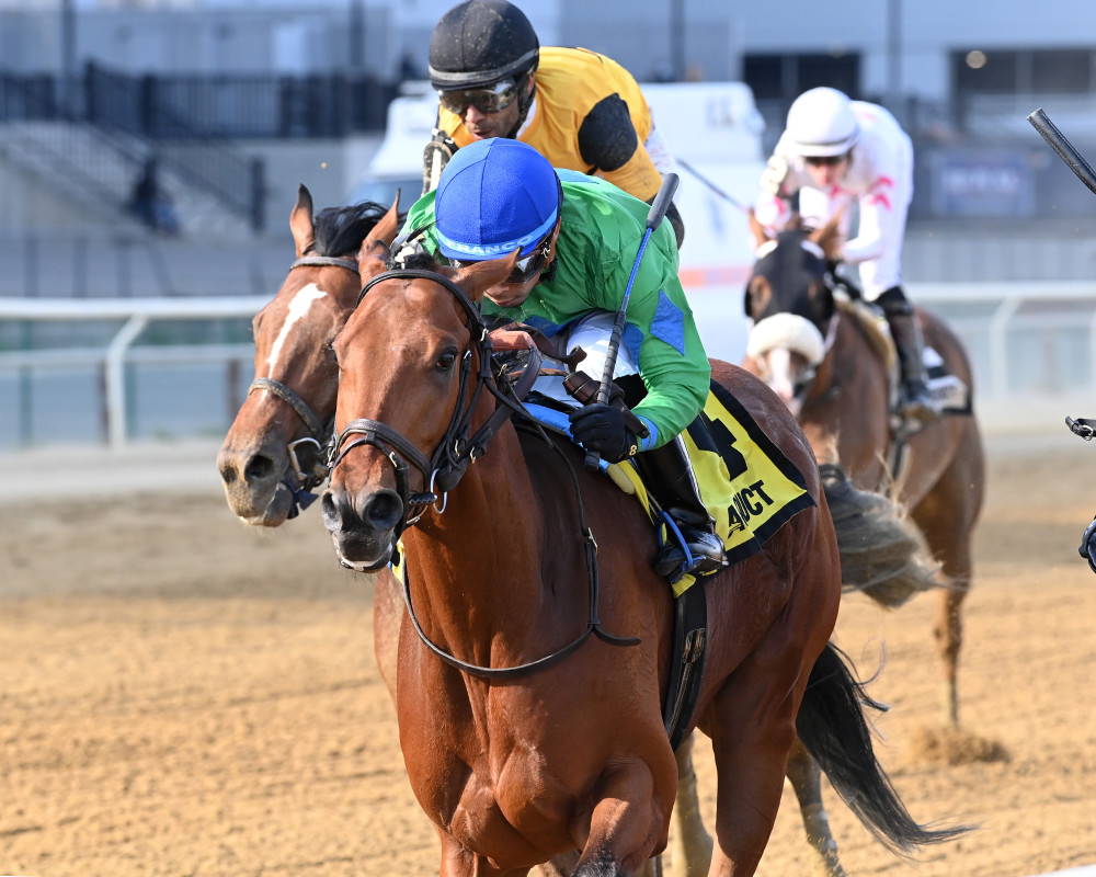 Mo Plex Gets Back To Best In Bay Shore