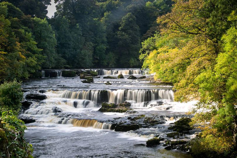 Yorkshire river E.coli 'red alert' warning issued