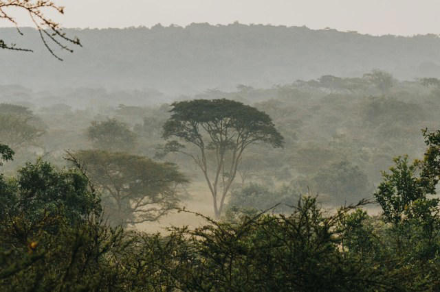 Trespassers face major penalties after illegal operation uncovered in ...