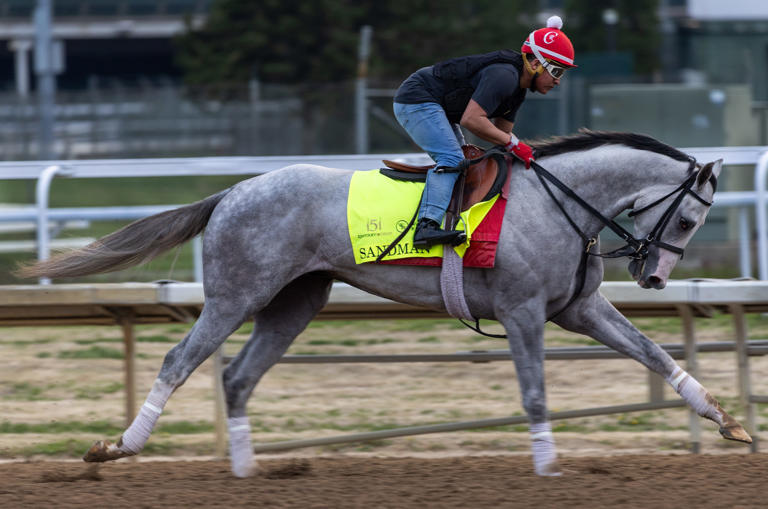 How many horses competed in Kentucky Derby 151? Here's the horse's ...