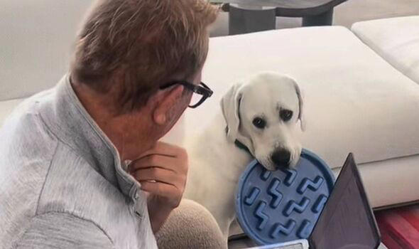 Kevin Costner's fans call for sitcom with 'adorable' co-star as he ...