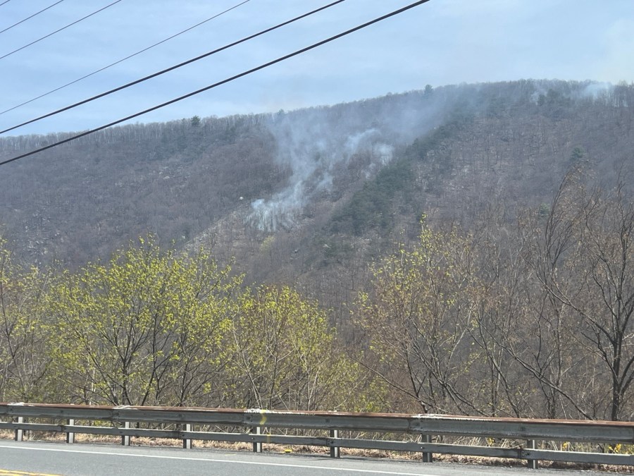 Firefighters battling 260-acre forest fire