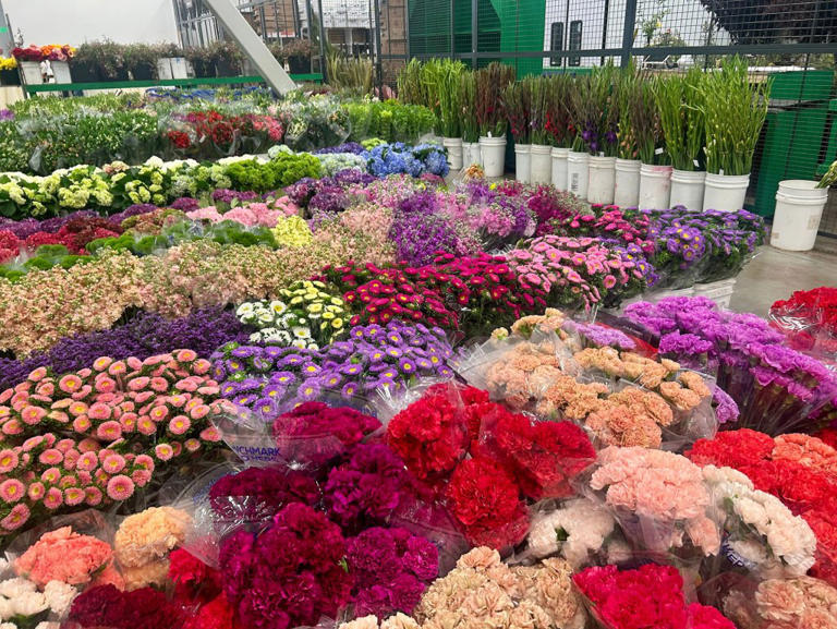 San Francisco's famed Flower Market ready to bloom in spacious new ...