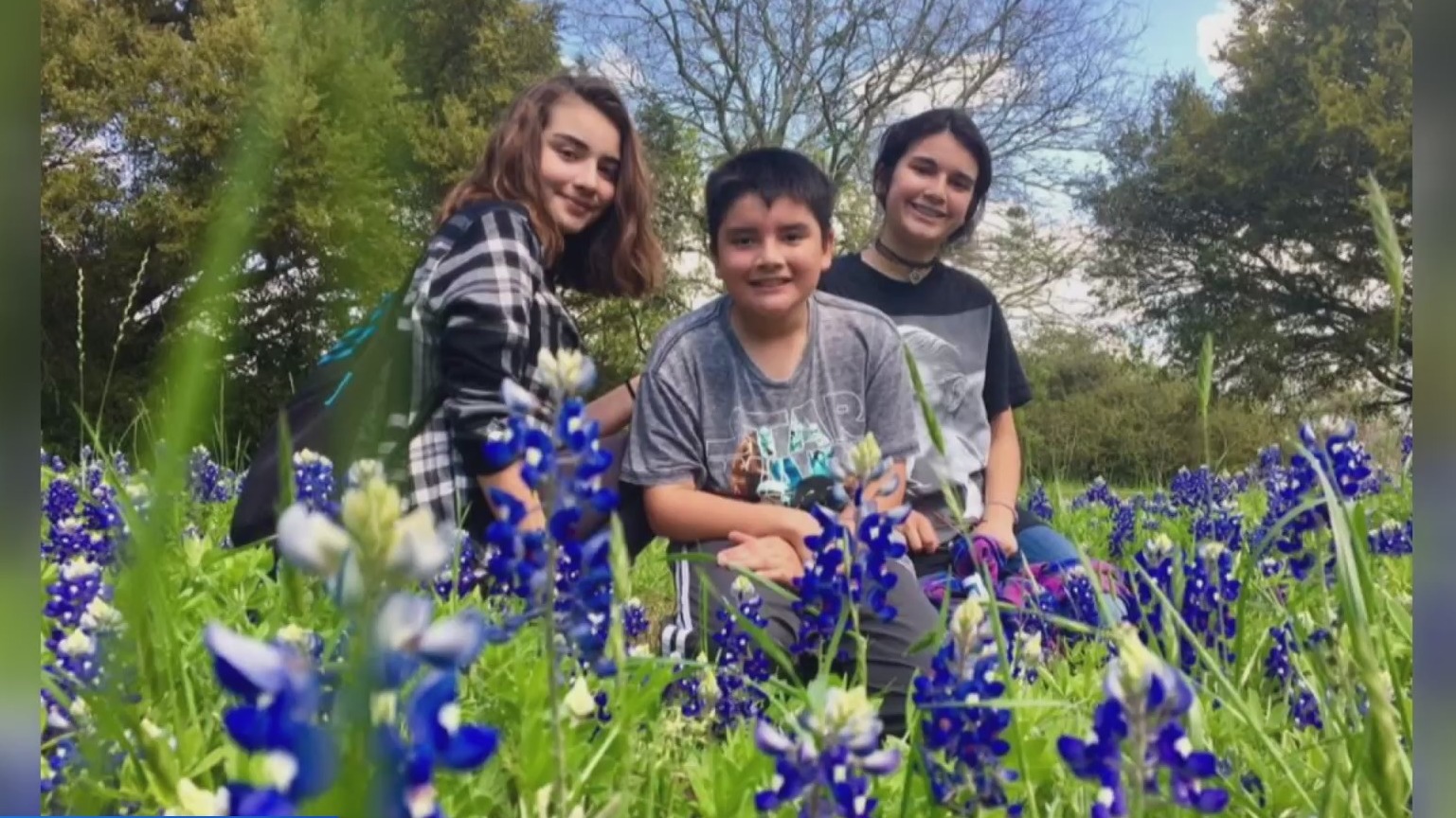 Bluebonnets in Texas. What you should know about the wildflower
