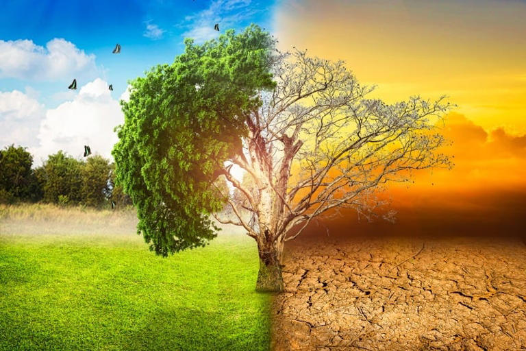 La température moyenne de la Terre au cours des cinq prochaines années ...