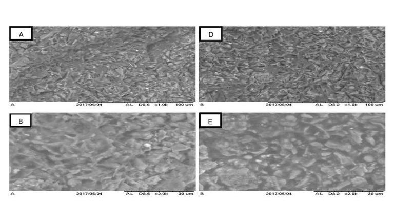 Here's What Chocolate Looks Like Under A Microscope