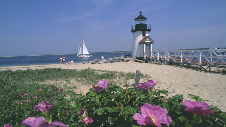 A Scenic Island-To-Island E-Bike Tour In Massachusetts Brims With ...