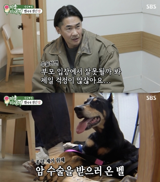 '미우새' 배정남 반려견 벨, 또 한 번의 기적..악성종양 수술 성공[★밤TView]