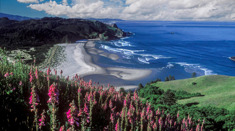 One Of Oregon's Most Majestic Coast Destinations Is A Dramatic Headland ...
