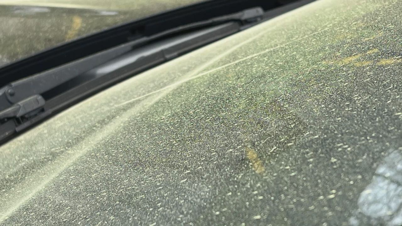 Alabama doctor seeing several patients with pollen eye problems, shares ...