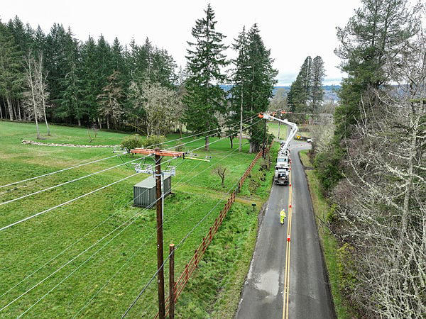 Puget Sound Energy installs tree wire to improve power line reliability