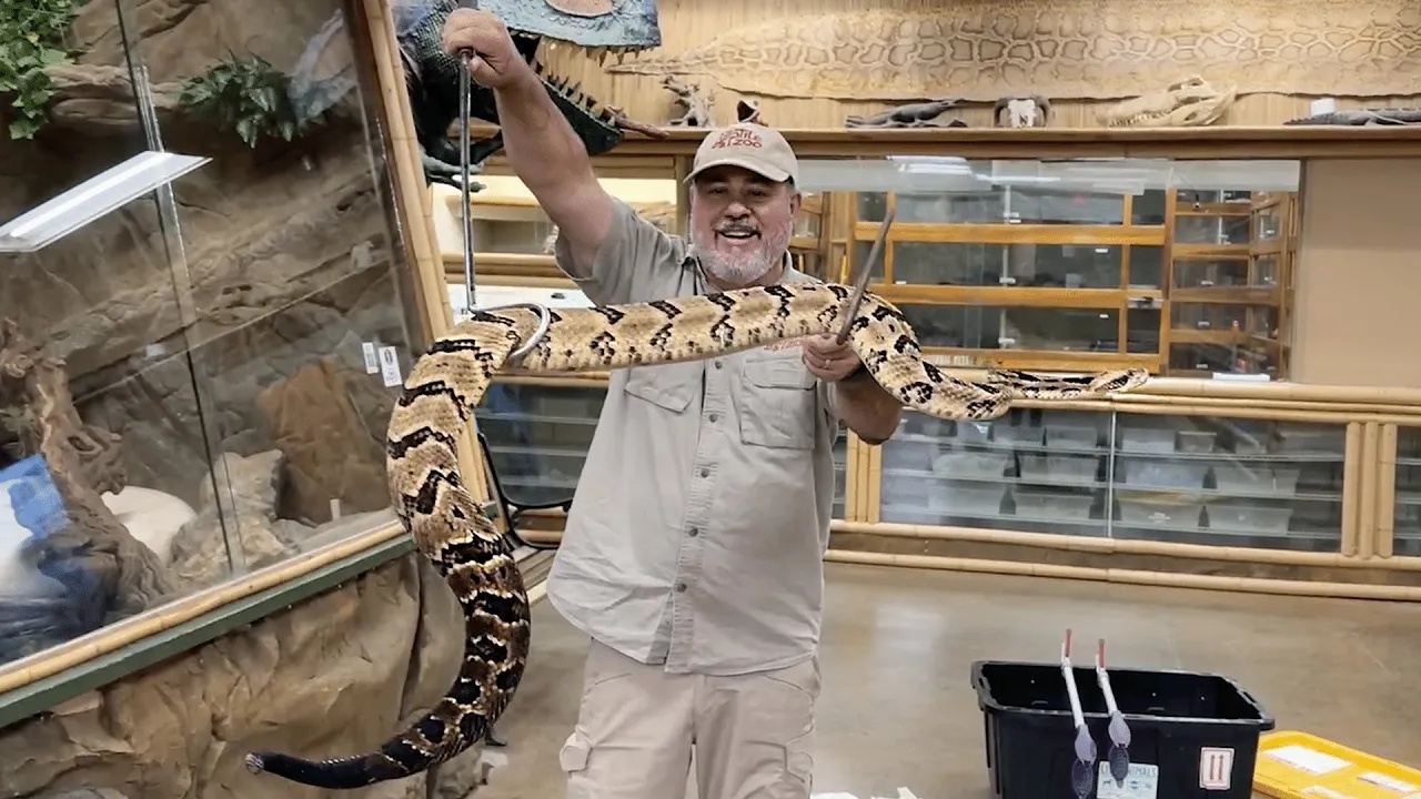 Bucket of Baby Snakes!!