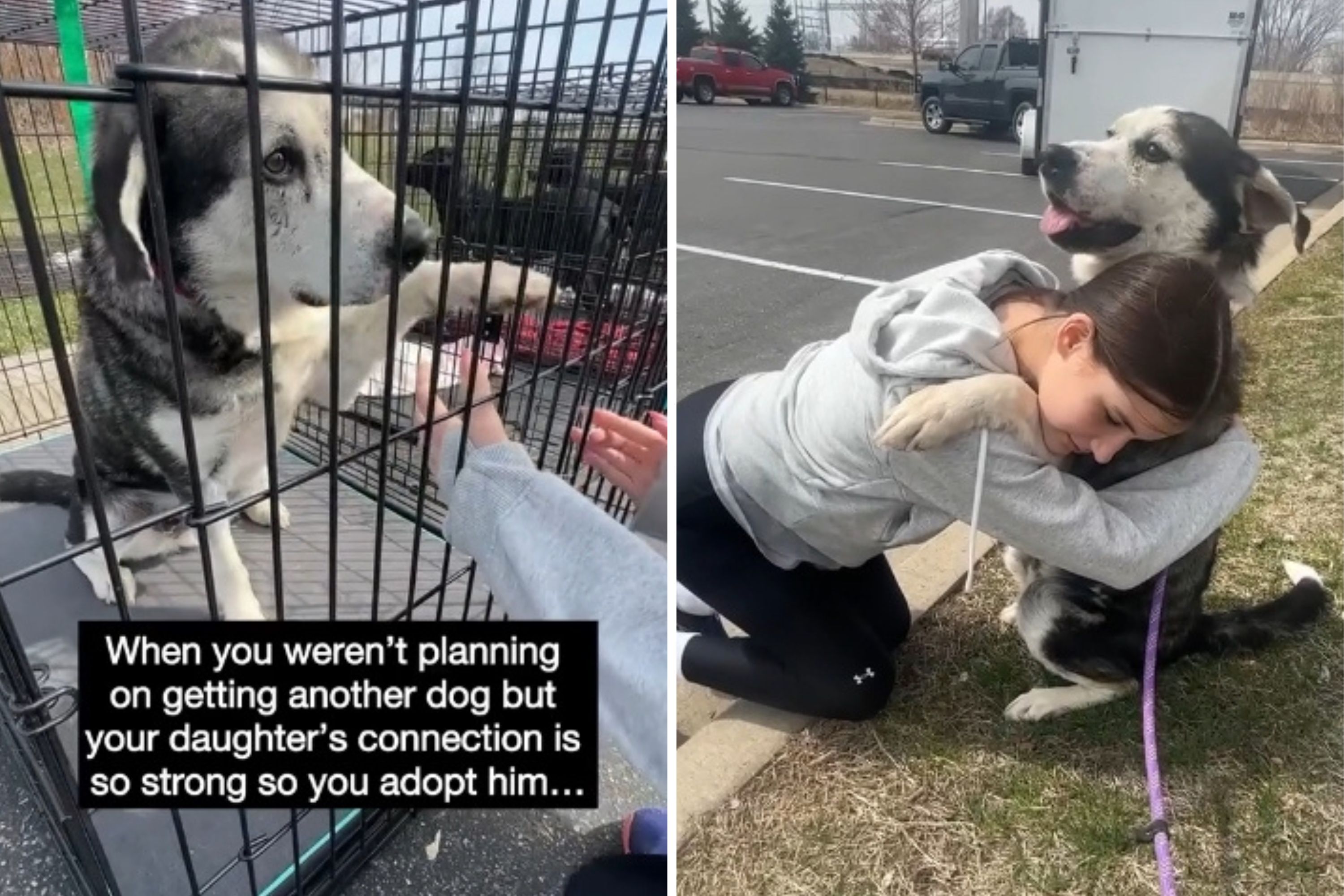 Mom Vows No More Dogs, Then Daughter Finds Connection With Rescue