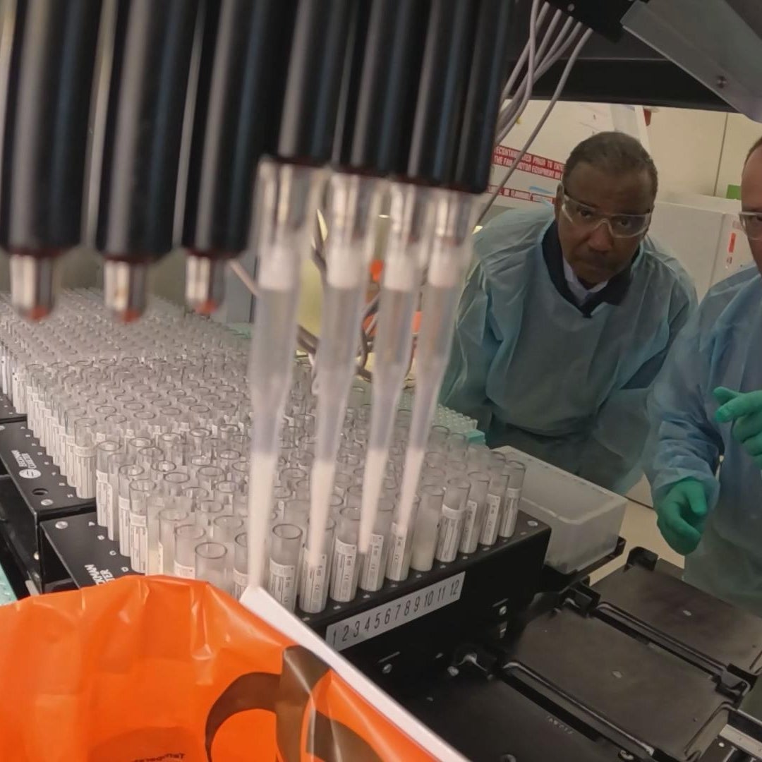 Bird flu poses growing risk to people as pathogen spreads, scientists warn