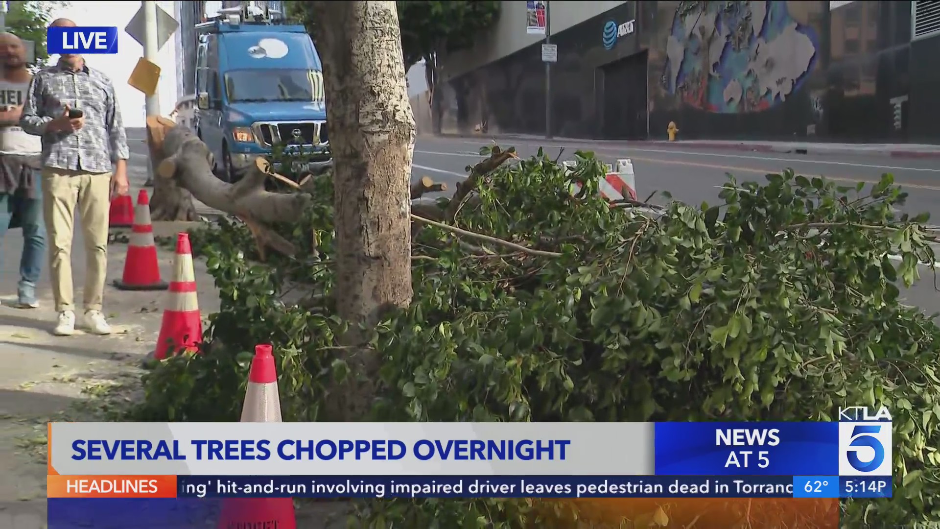 Several trees chopped down overnight in downtown L.A.