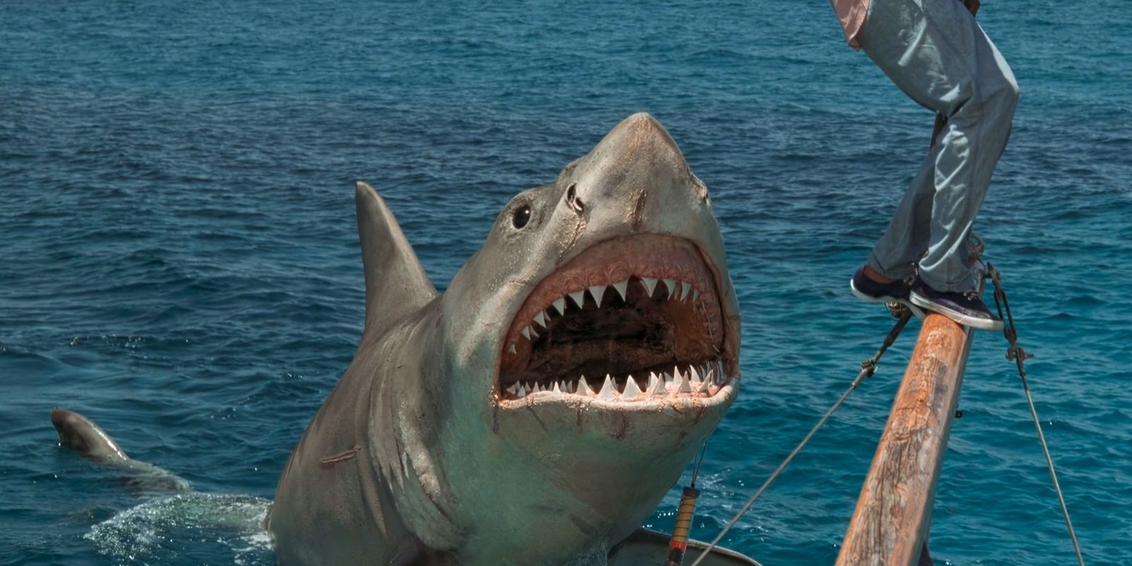 The Worst Jaws Movie Oddly Has the Most Terrifying Scene in the Franchise