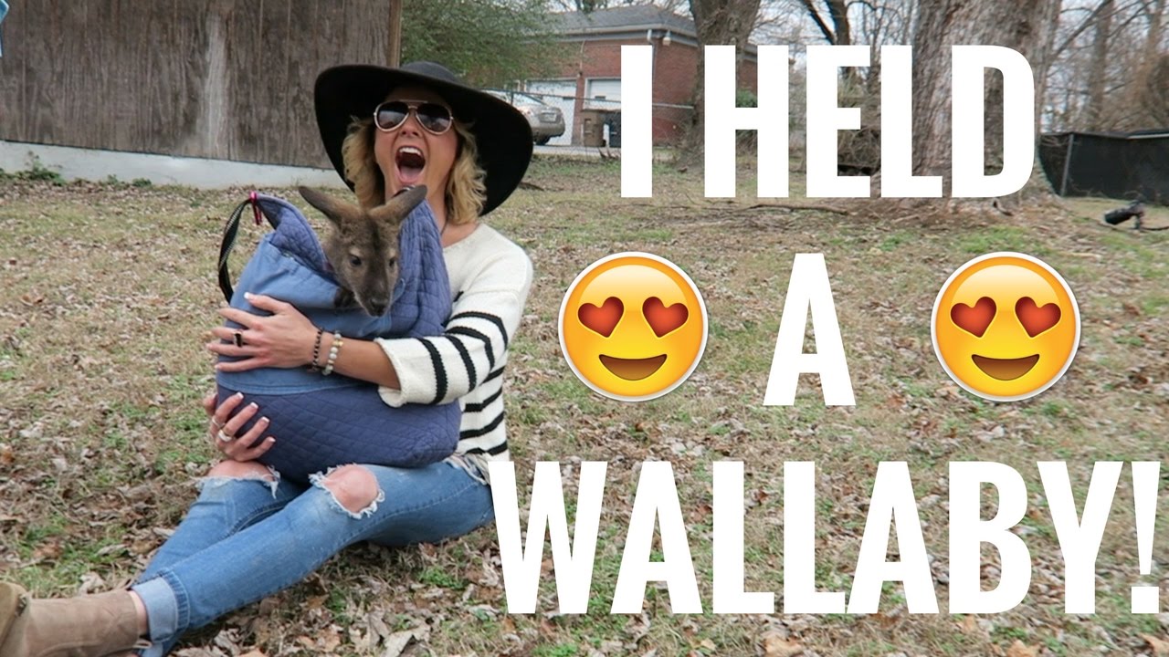 I Held a Wallaby!! - Adley Stump Vlog 8
