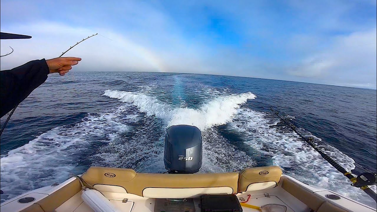 Chasing Bluefin Tuna Near the Coronados – San Diego Freedom Boat Club