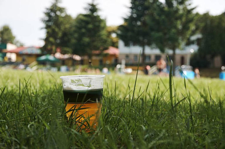 Pouring beer or fizzy drinks on your lawn is actually doing more harm ...