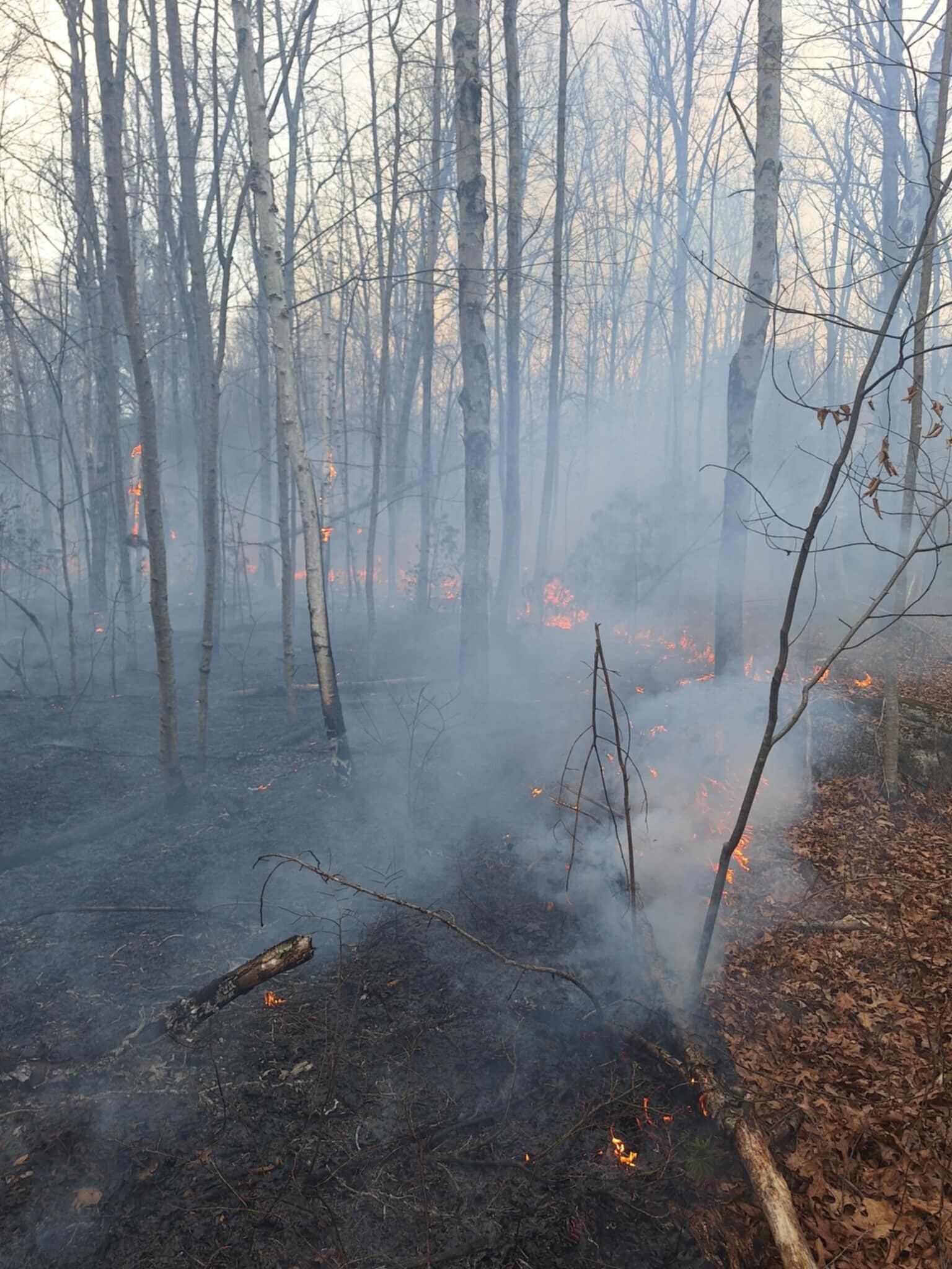 Cause of Ware brush fire
