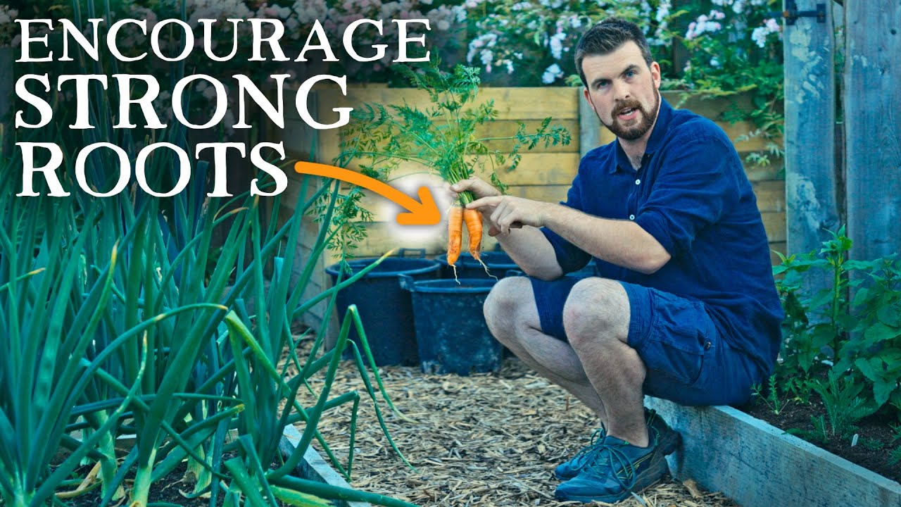 Watering Like This Stimulates Strong Plants (And Saves Time & Water)