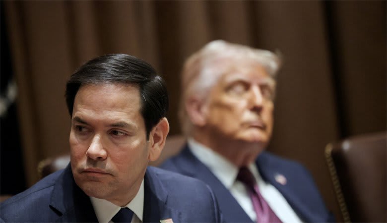 'Infinite monkeys with infinite typewriters': Leaked executive order ...