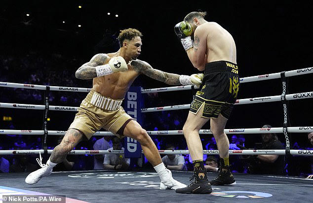 Ben Whittaker STOPS Liam Cameron in second round in Birmingham after ...