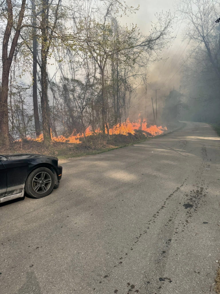 Anderson County wildfire fully contained at over 220 acres, officials say