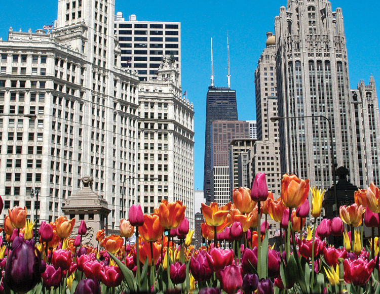 6 Destinations In The USA That Really Shine in the Spring