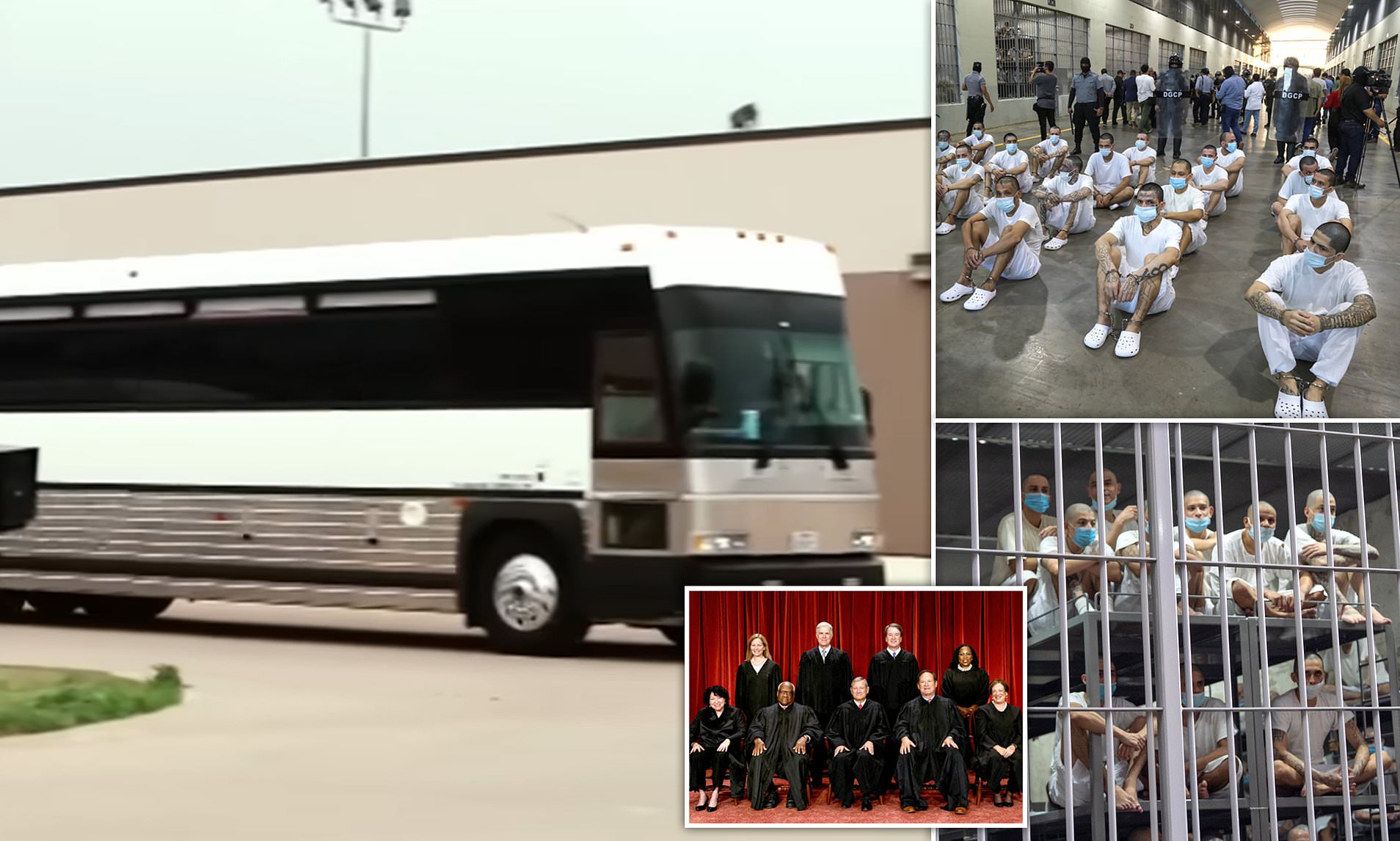 Immigrant bus to airport forced to turn around after bombshell ruling