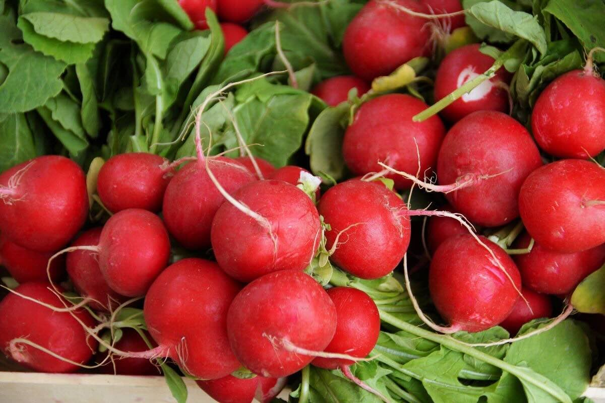 ¿Te animarías a probar esta refrescante bebida de rábano?