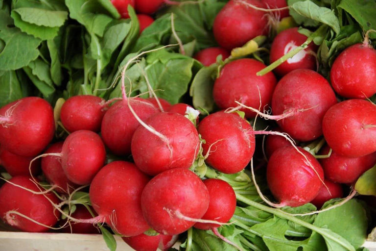 The White House has a rarely seen swimming pool. Here’s where it is