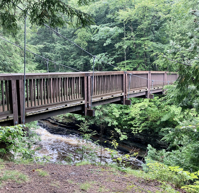 Seasonal escapes in Michigan: From fall colors to spring festivals