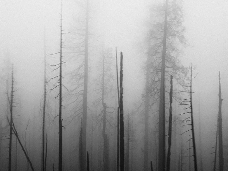 Nichts für schwache Nerven: Die legendärsten Horror-Drehorte der USA