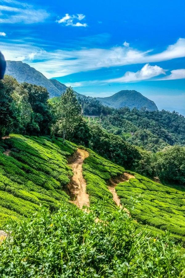 Chillin’ In The Hills: 7 Must-Visit Places In Kerala’s Vagamon To Beat ...