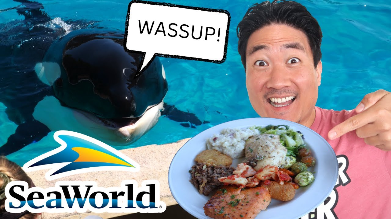 CRAZY All You Can Eat Buffet & Orca Show at SeaWorld San Diego!