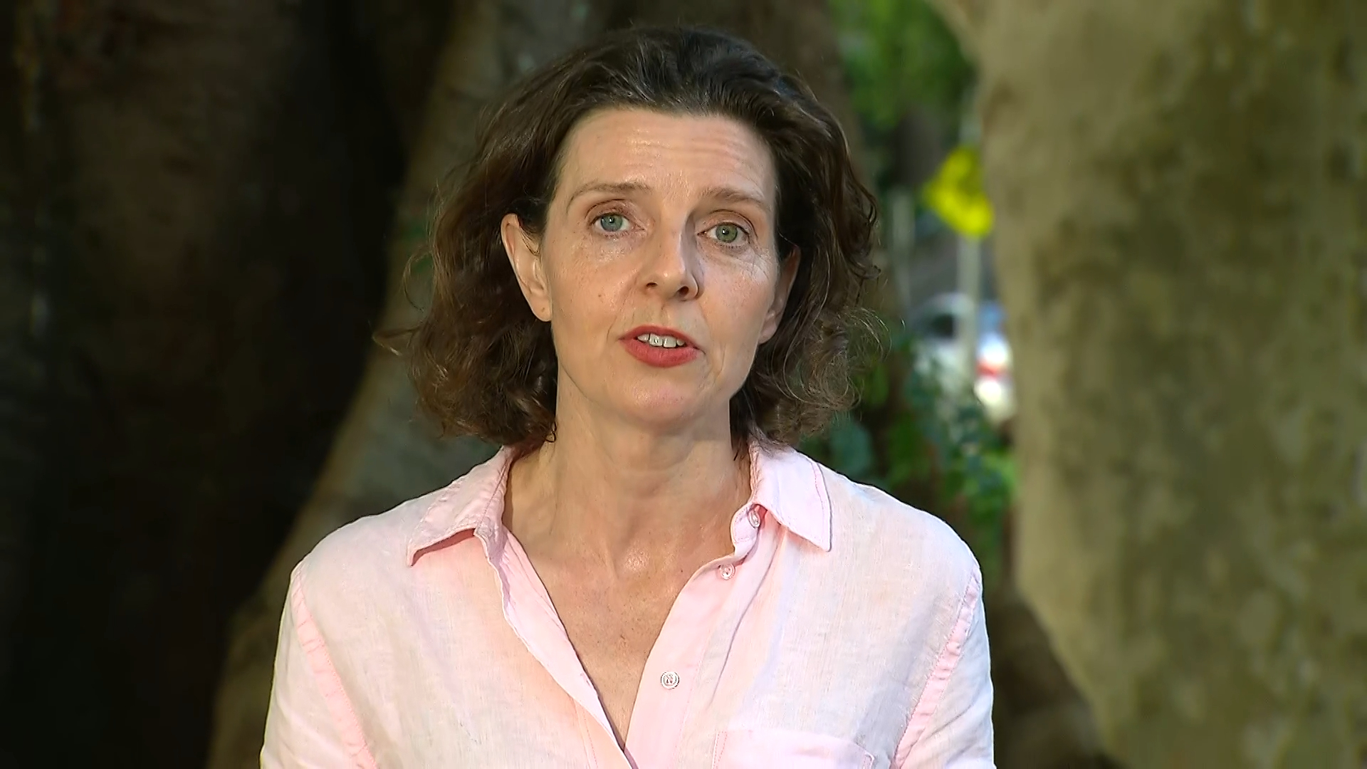 MP questions decision not to identify person behind unauthorised pamphlets