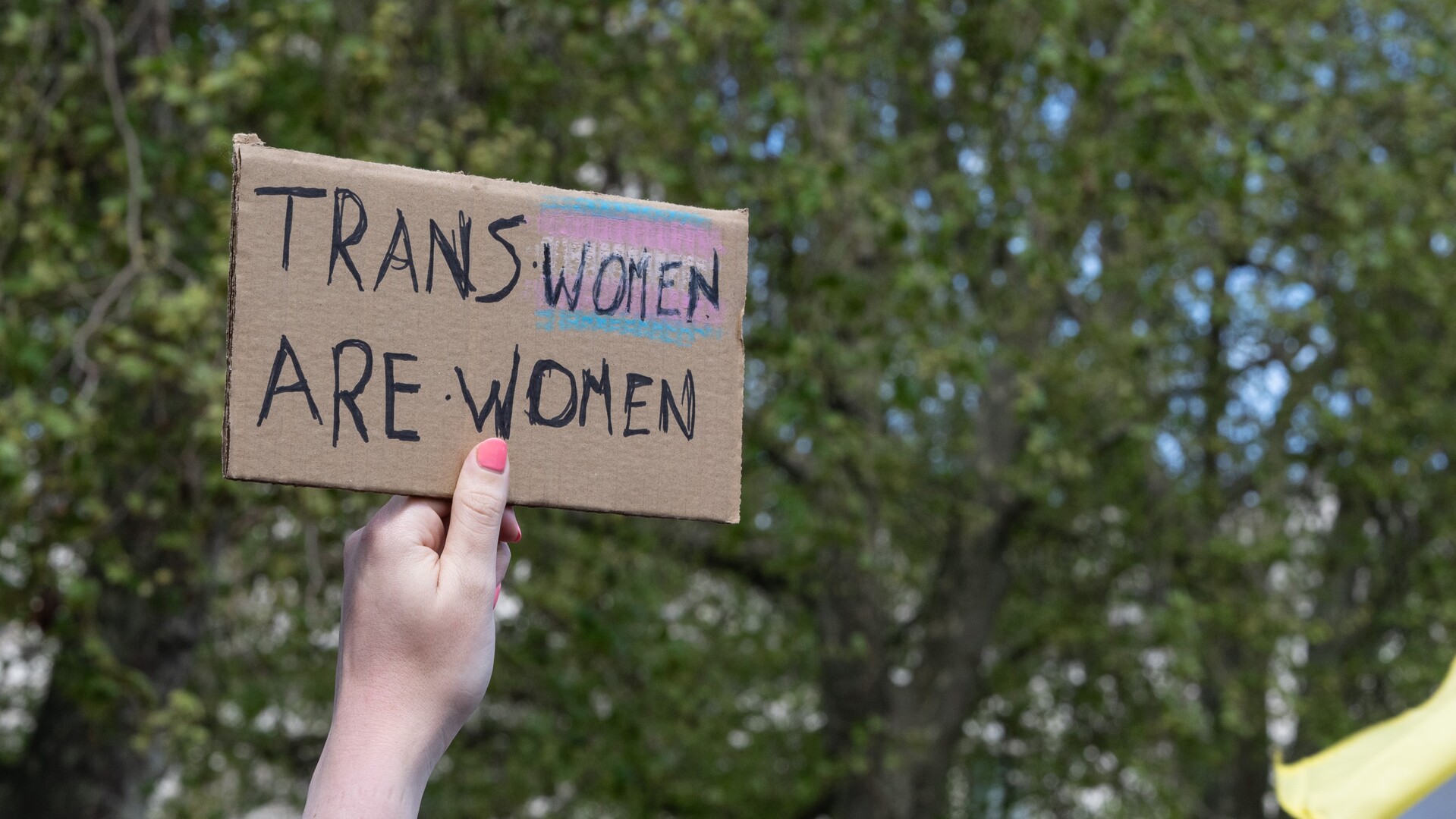 ‘What are they fighting for?’: Trans rights protests erupt in the UK