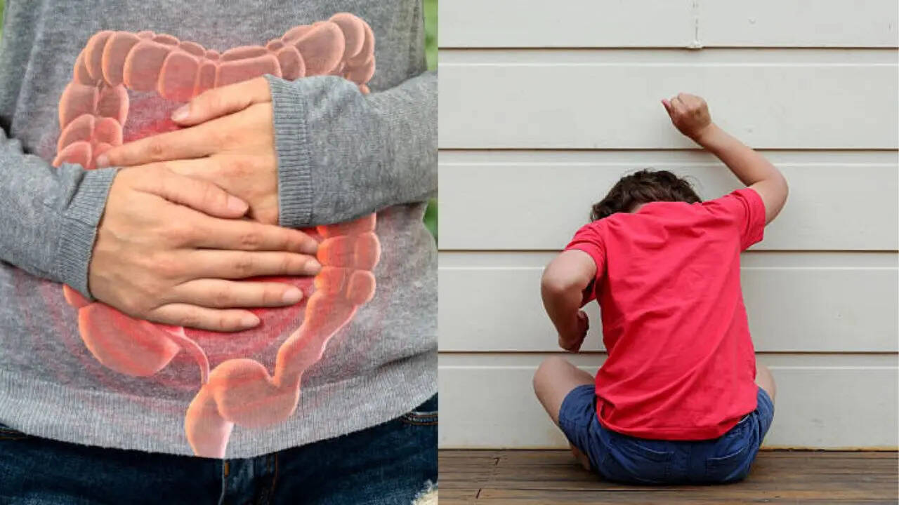 Can Gastrointestinal Disorders Cause Autism in Kids? Here's What the ...