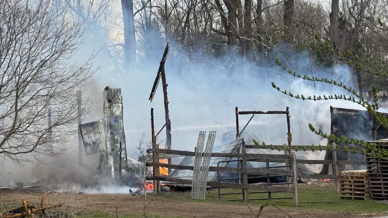 Barn destroyed, horses die after Meridian Twp. fire